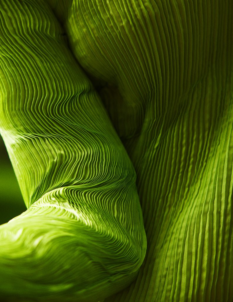 Maxime Cardol – Czar Amsterdam